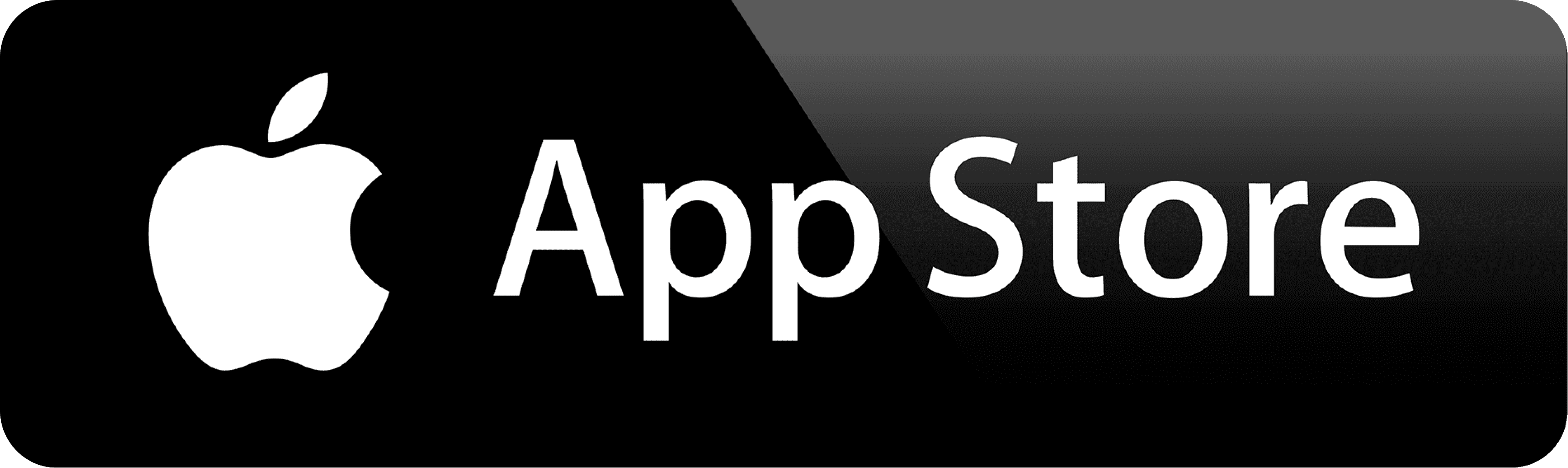 Bridle - For the Modern Equestrian