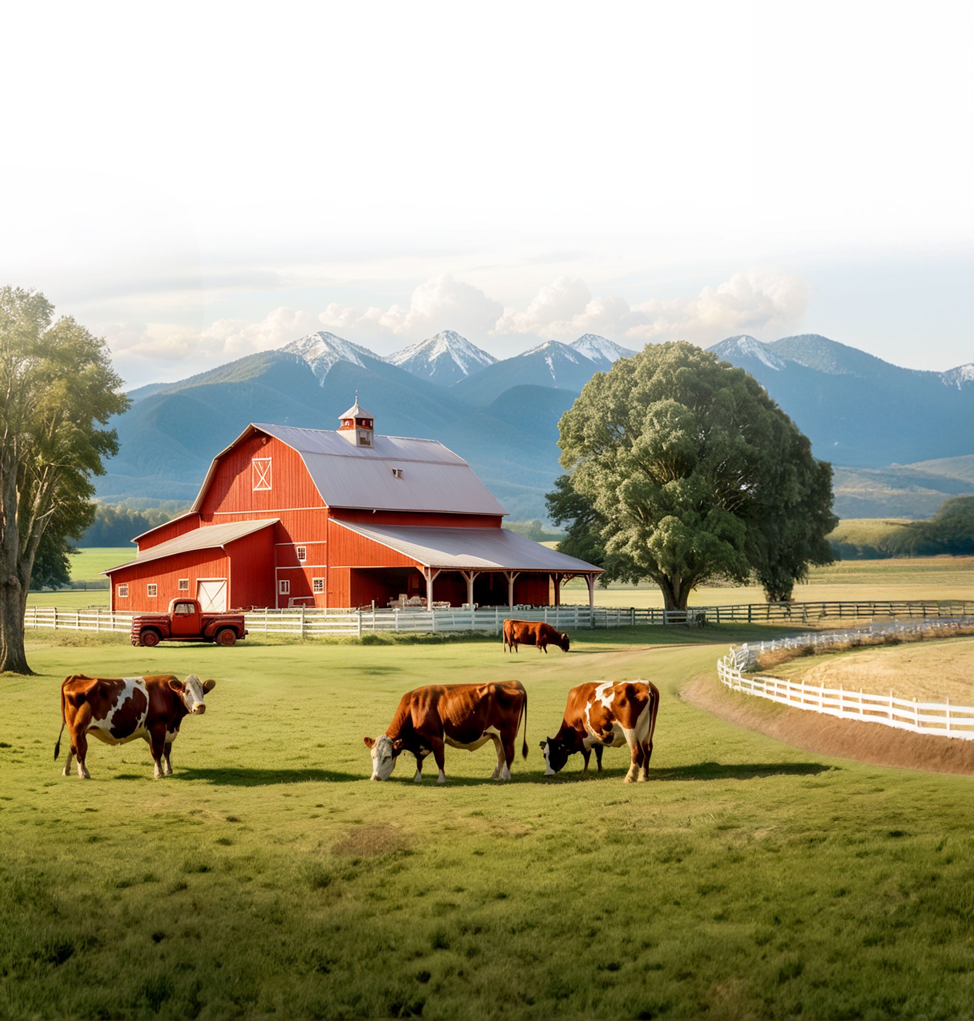 AmeriFresh | Premium Fresh Dairy Products from the USA