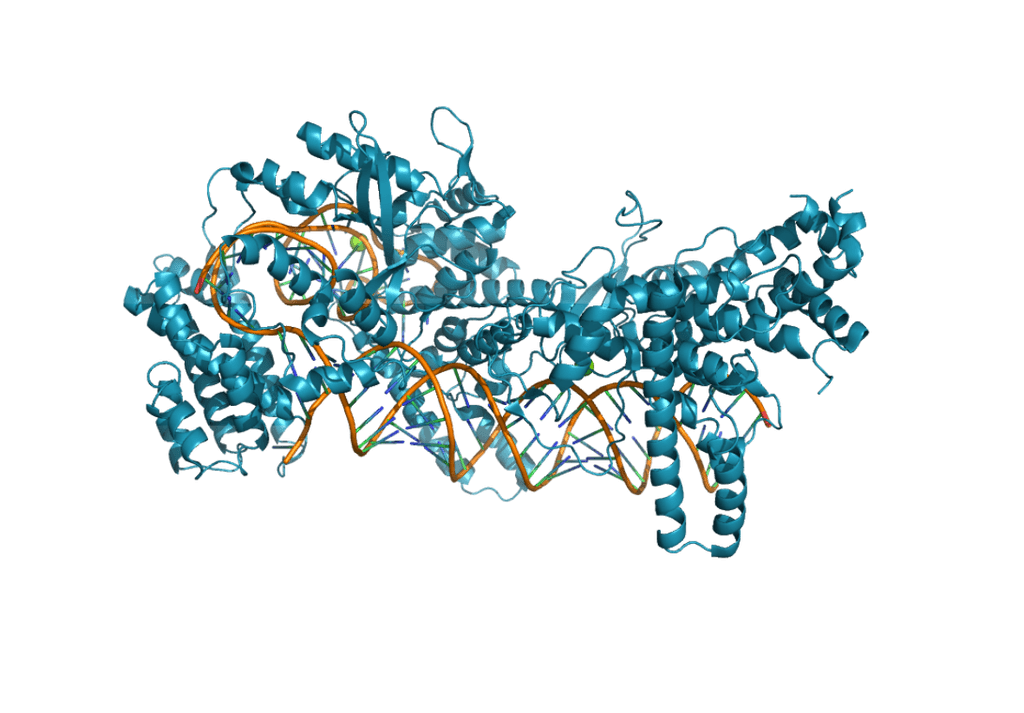 How to Use AlphaFold3 Commercially