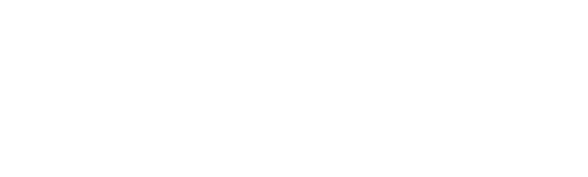 netorium AG – Kompetenzcenter und Technologiescout für die Medienindustrie