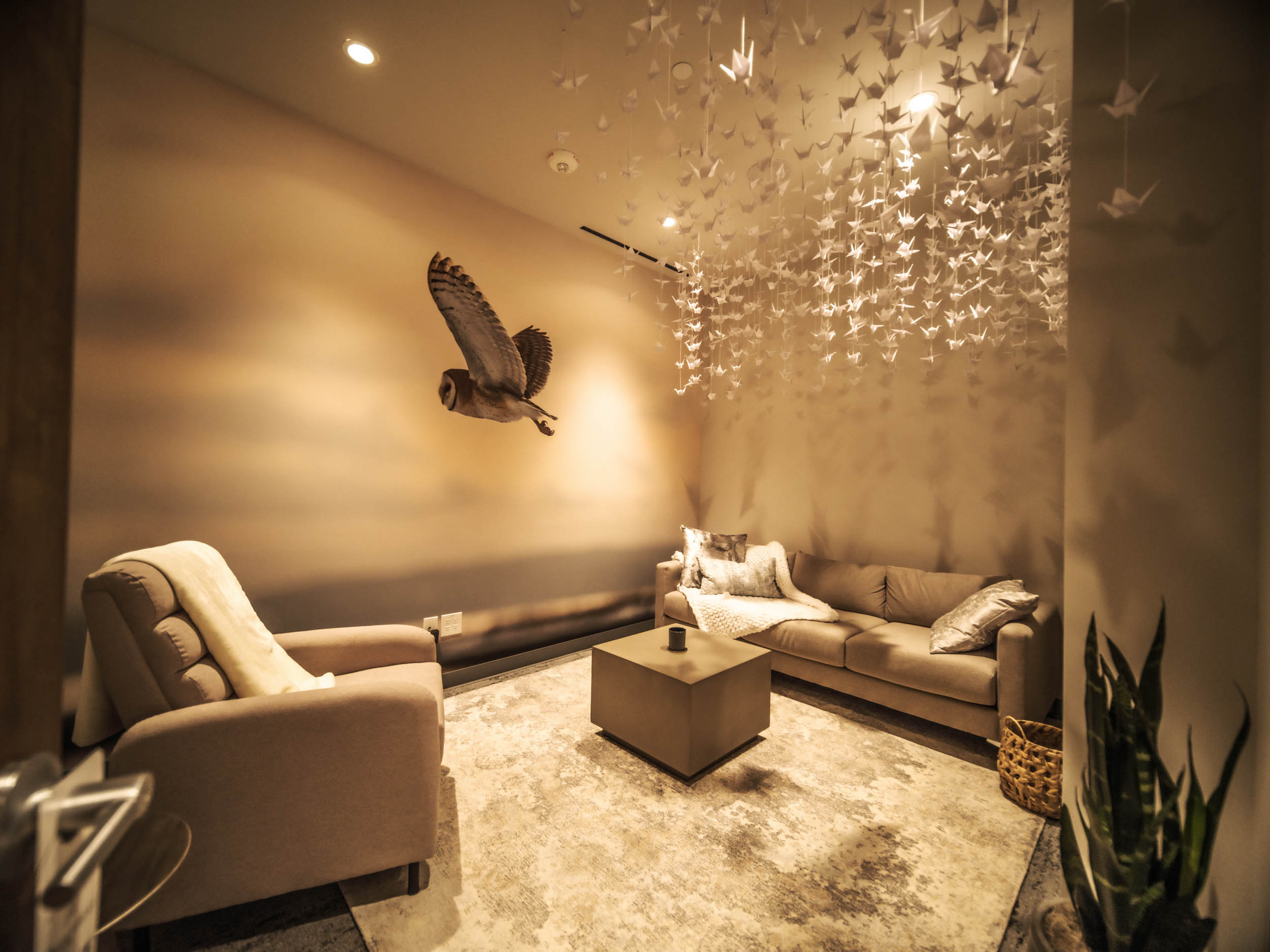 Sensory Deprivation Floatation Tanks | Kuya Wellness Austin