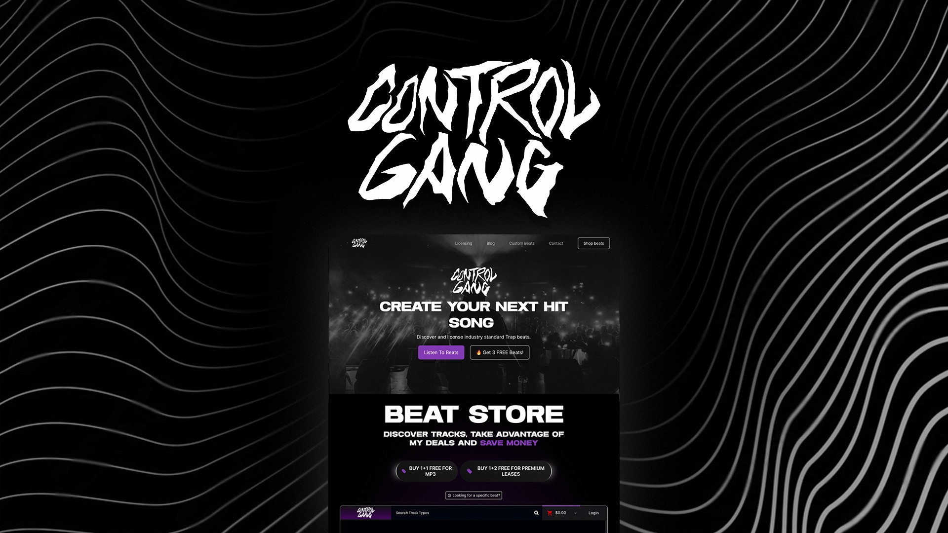 The Ultimate Guide To Online Beat Licensing