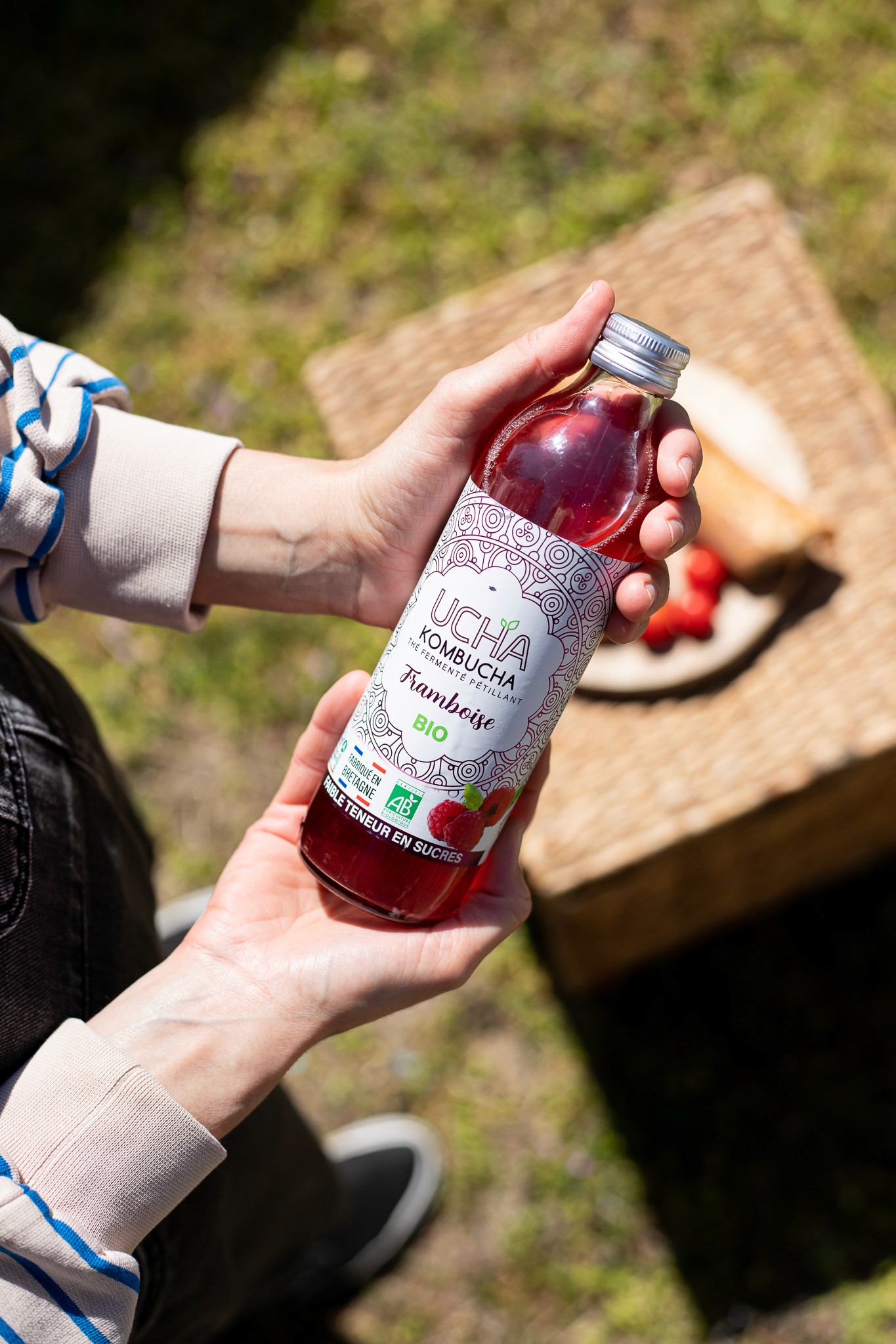 Notre histoire | UCHA, kombucha bio brassé en Bretagne avec passion