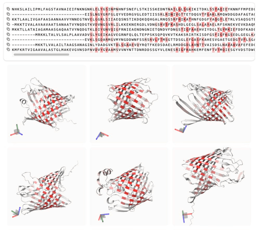 Golden Gate Neuron in Protein Models