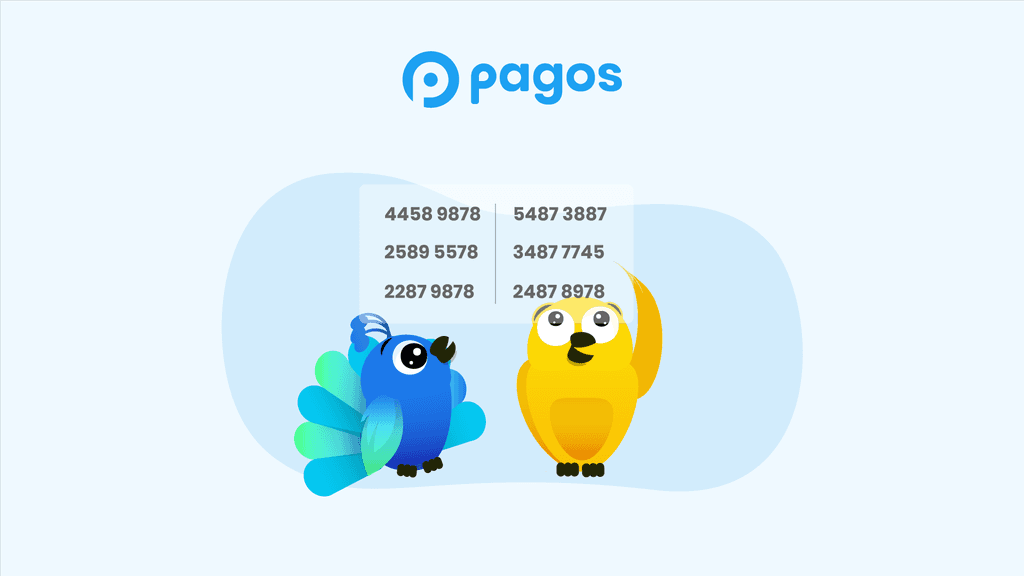 How to Use BIN Segmentation in Peacock and Canary | Pagos Blog