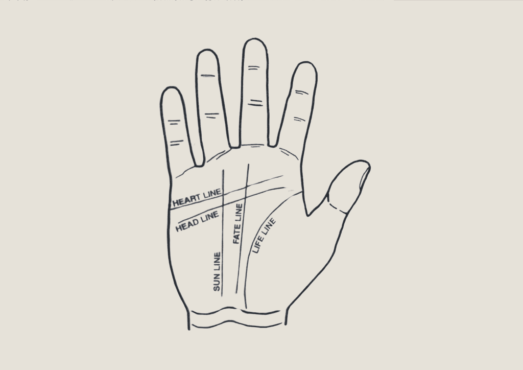 Palm Reading Guide: Learn Palmistry Basics & Meanings | Palmyst