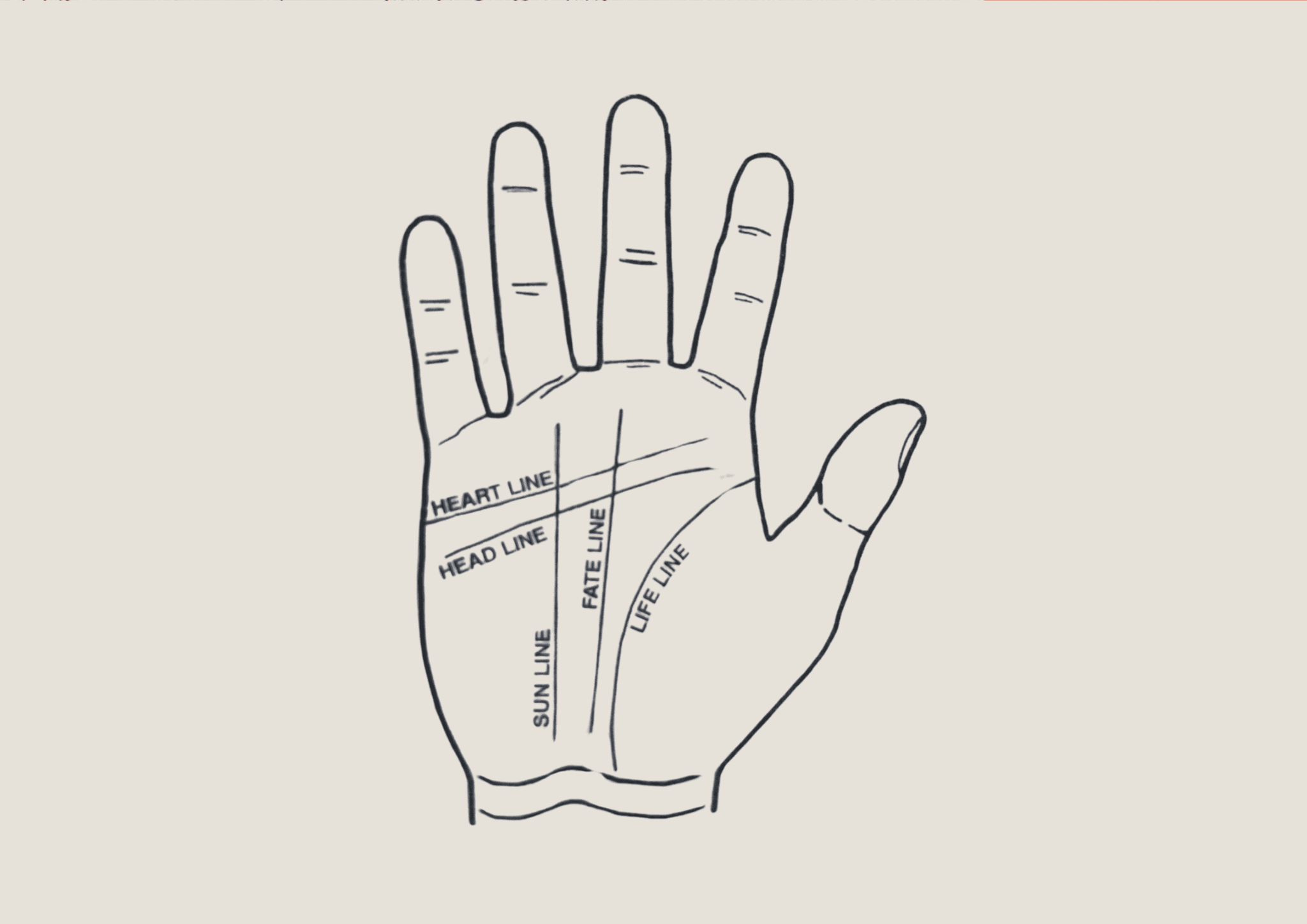 Palm Reading Guide: Learn Palmistry Basics & Meanings | Palmyst