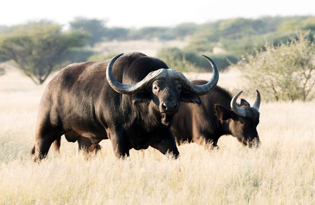 Marrick Private Game Reserve