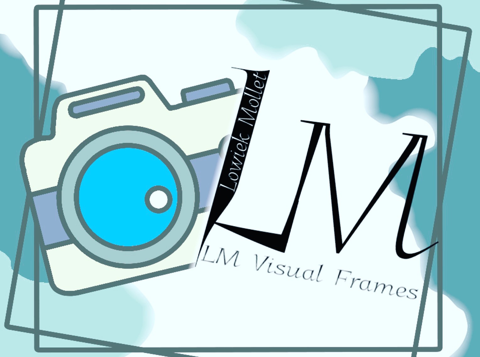 LM VISUAL FRAMES