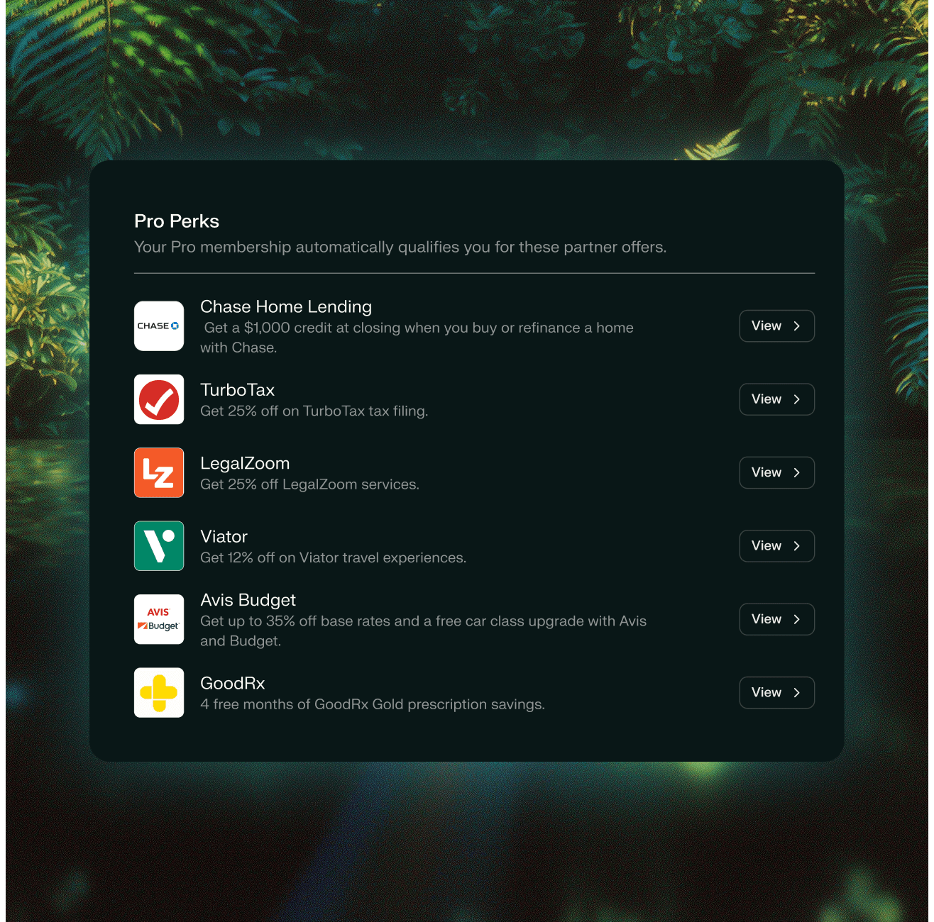 Perplexity Pro Perks