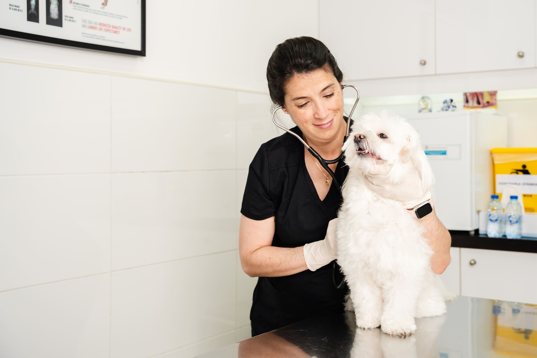 Coccidia in Dogs: Transmission, Symptoms, and Treatment