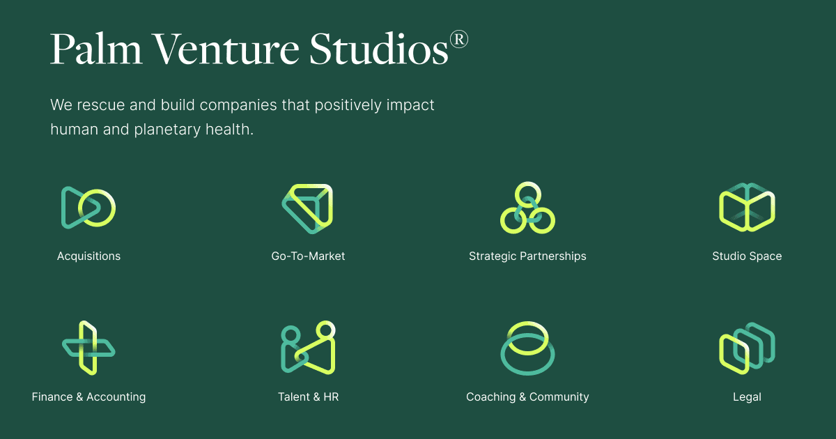 Palm Venture Studios