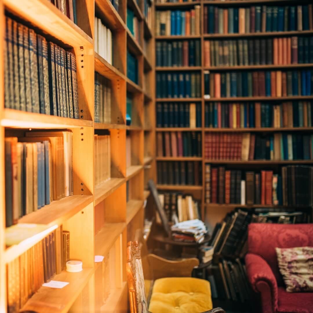 Maven Bookshelf Challenge - Data Challnge by Maven Analytics | Build ...