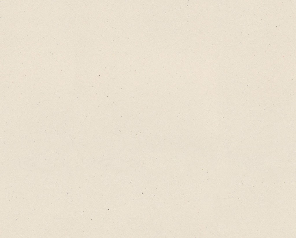 ZERO FOX | bar & korean kitchen