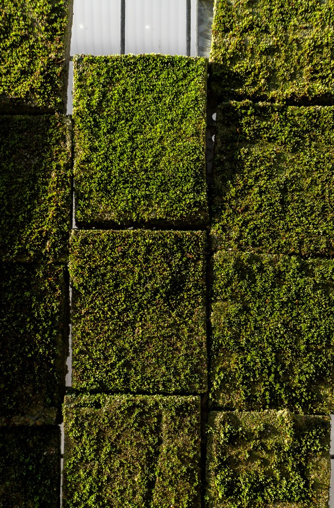 Lightweight (Insulated) Panels - gorespyre