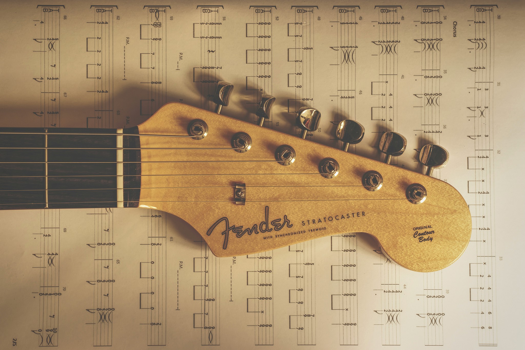 Fender Serial Numbers Explained: Identify Your Guitar's Exact Year ...