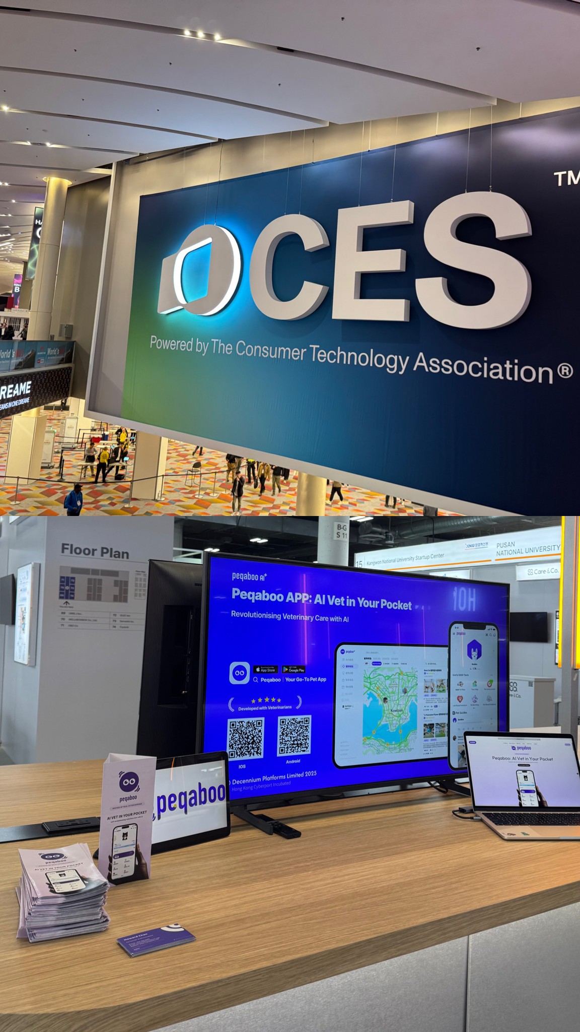 Newsroom - Peqaboo Pet APPI | AI Vet in your Pocket