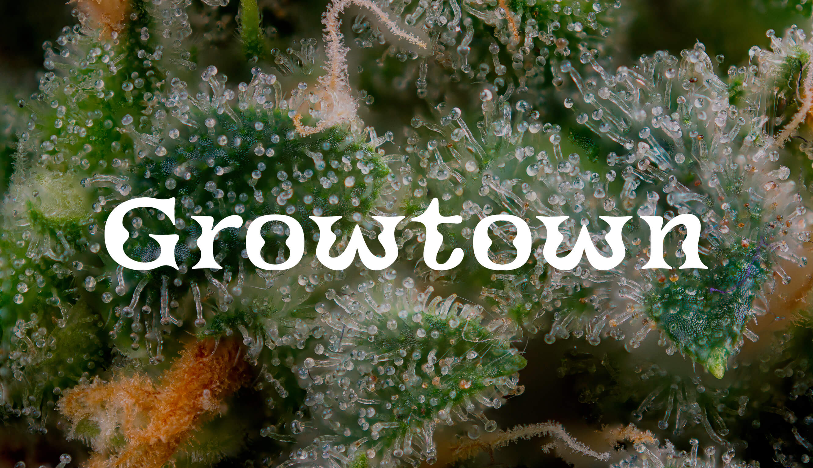 Frontier — Growtown