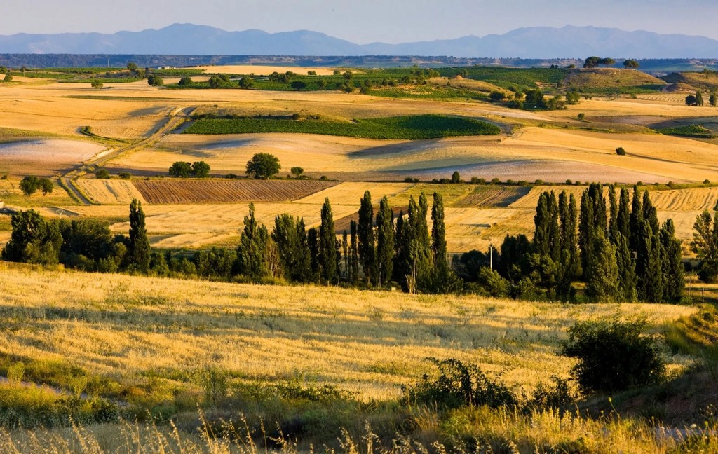 The Priory Hotel & Restaurant: Caerleon Hotel | Caerleon Restaurant