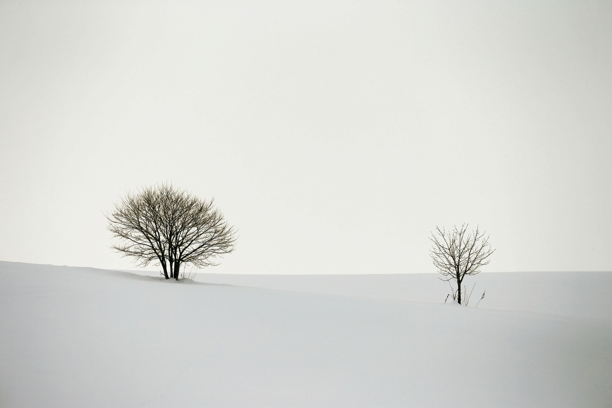 Scotiabank and Mexico Release Updated Sustainable Finance Framework ...