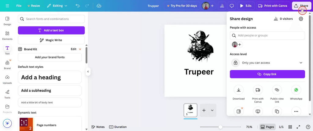 How to Add a Text Box in Canva - 1 minute video guide
