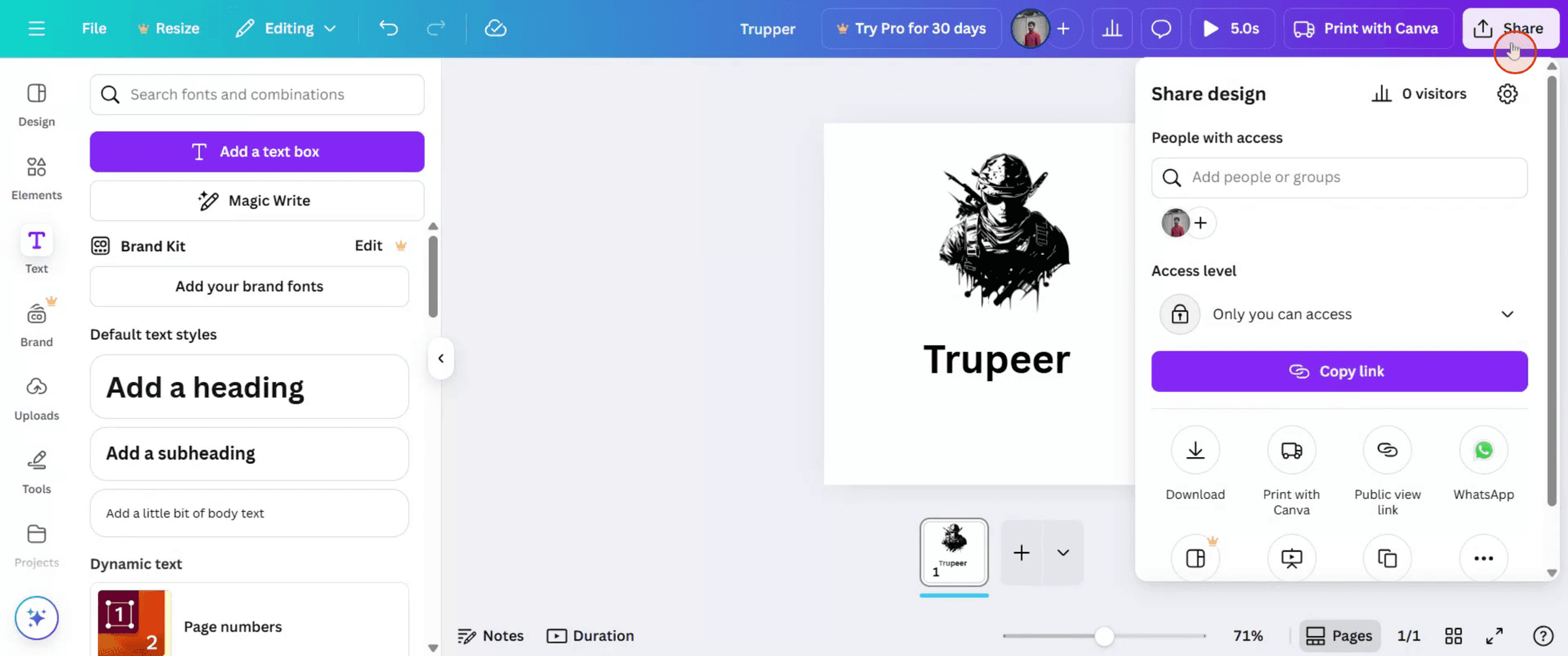 How to Add a Text Box in Canva - 1 minute video guide