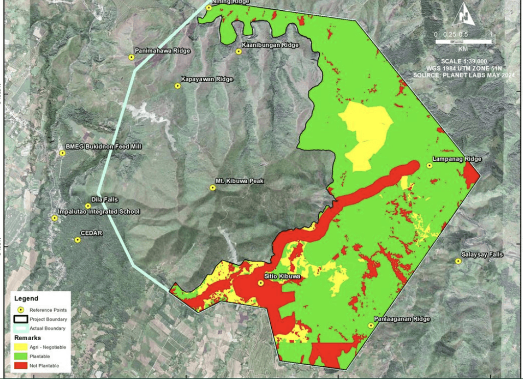 Restoring Bukidnon's Forests: A Promising Carbon Sequestration Project