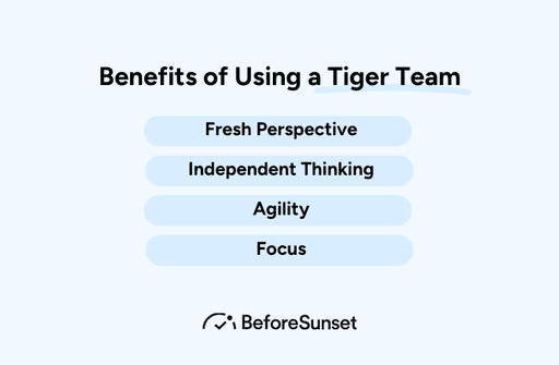 Tiger Team Meaning