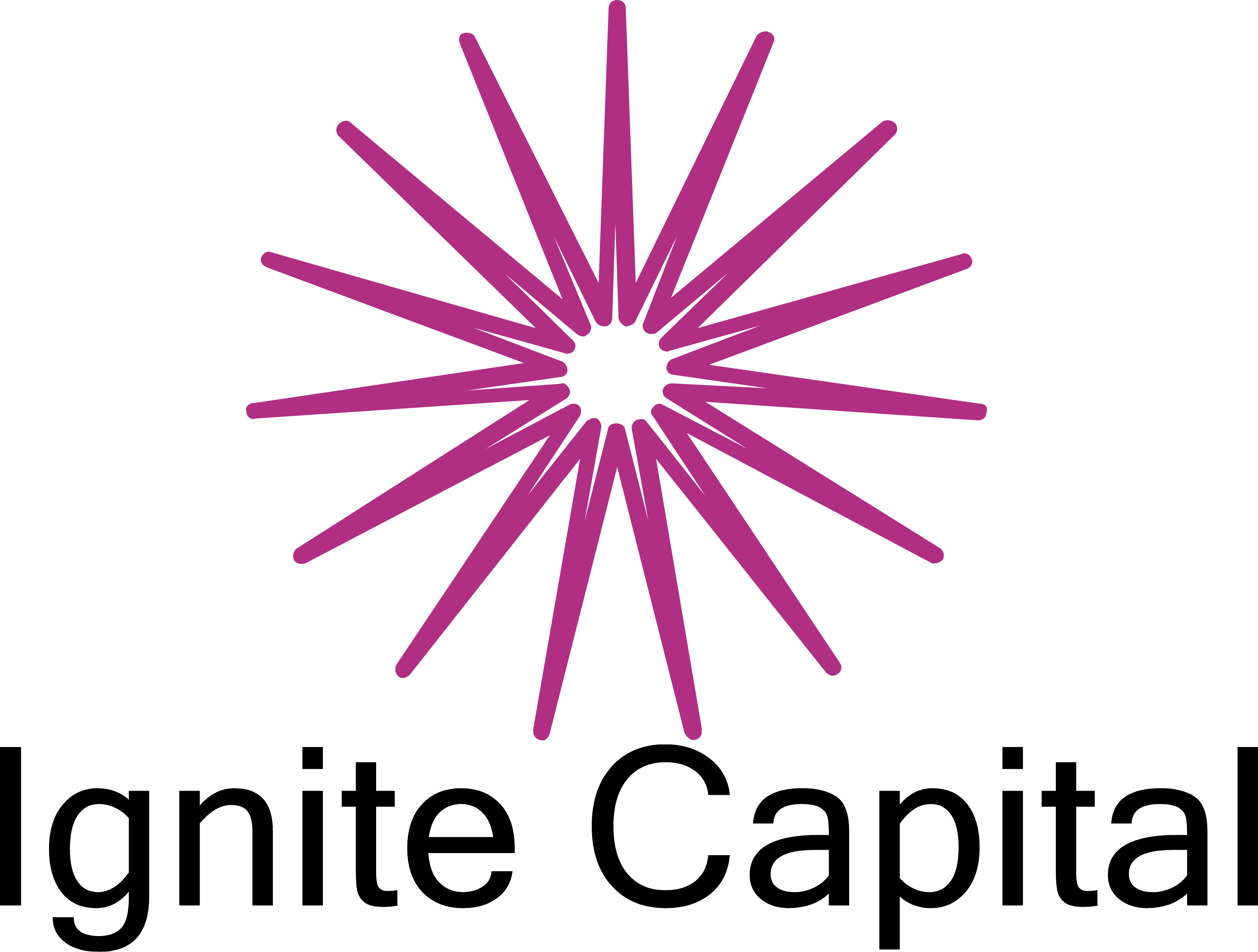 Services - -Ignite Capital (Asia Pacific) Limited