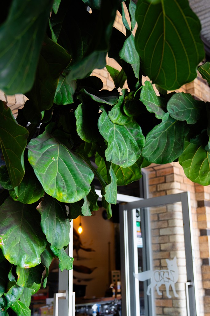 ZERO FOX | bar & korean kitchen