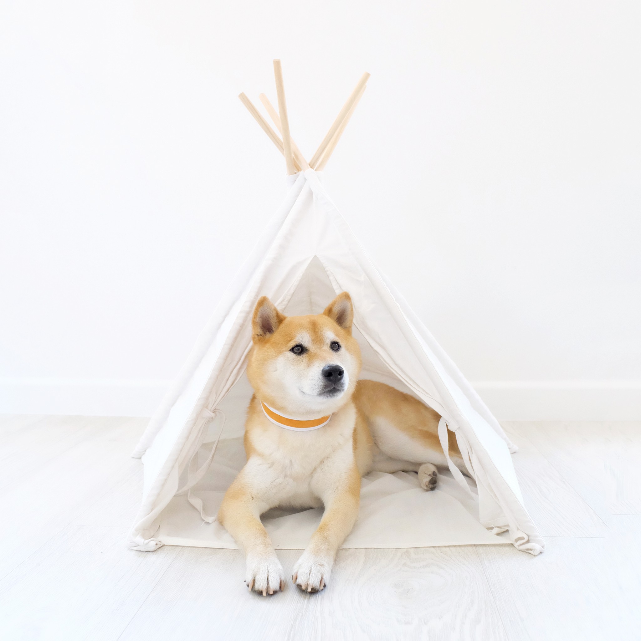 Project management exclusively created for design agencies and teams - Hello Ivy