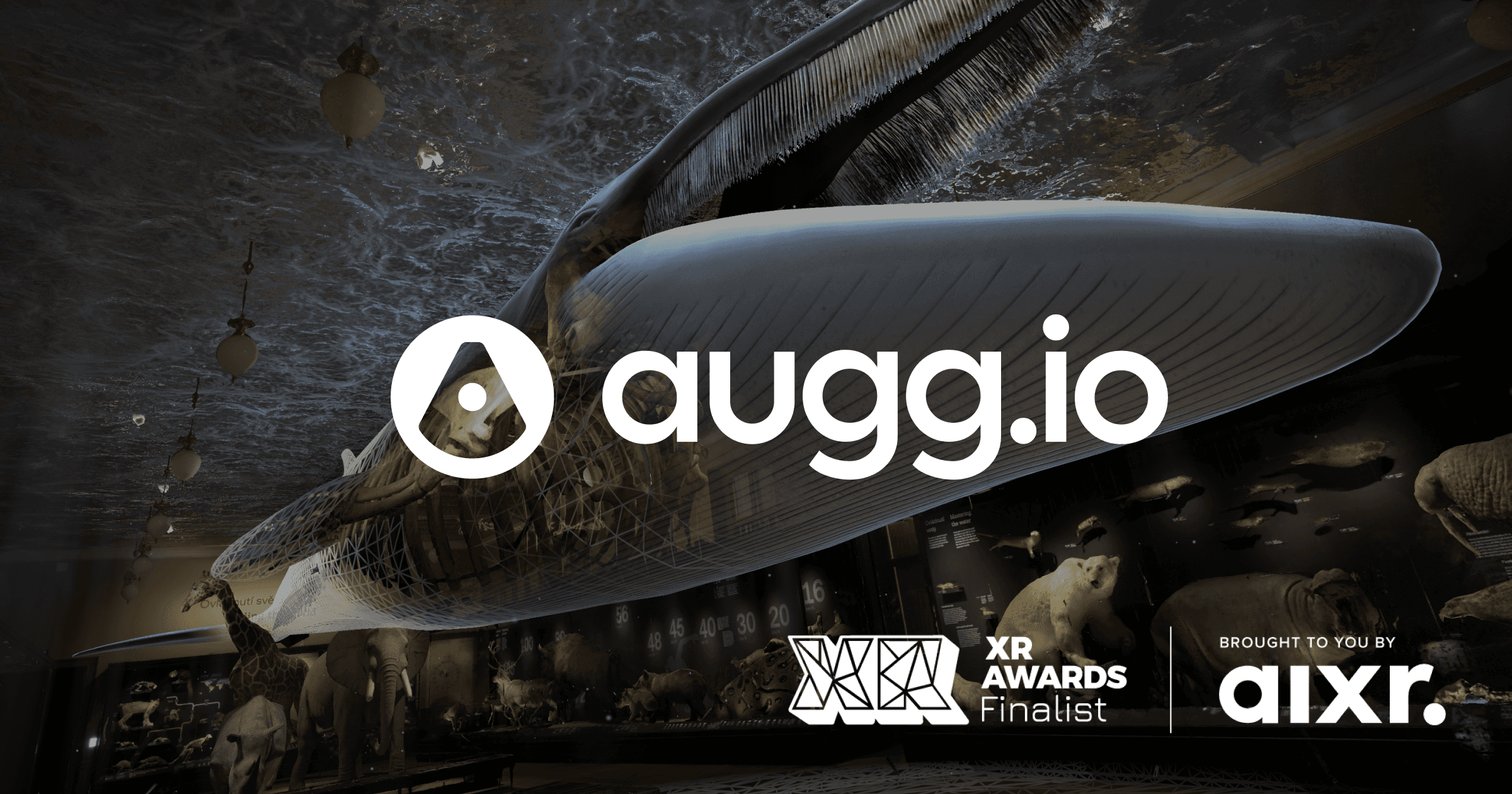 augg.io Shop | Our latest AR solutions and templates