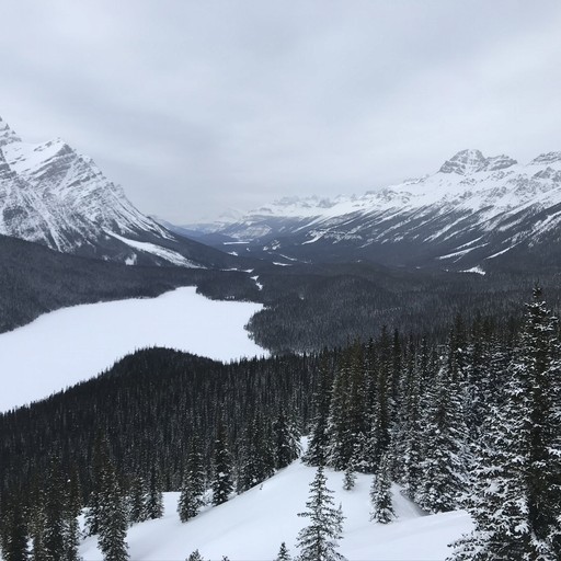 Explore Banff Tours | Banff Day Tours | Lake Louise Tours