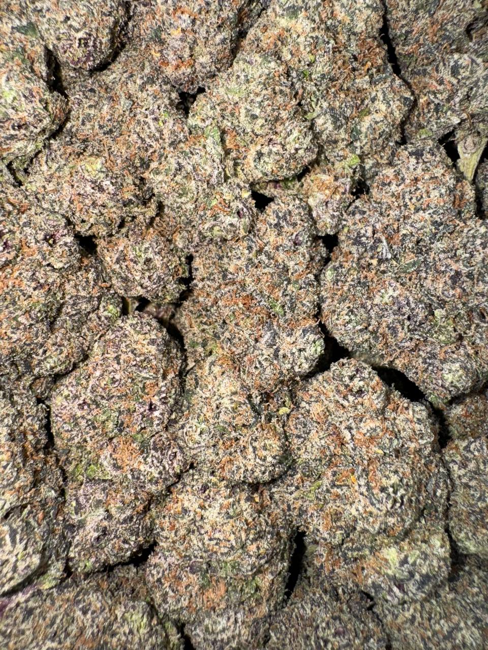 Flower - Cali Exotics