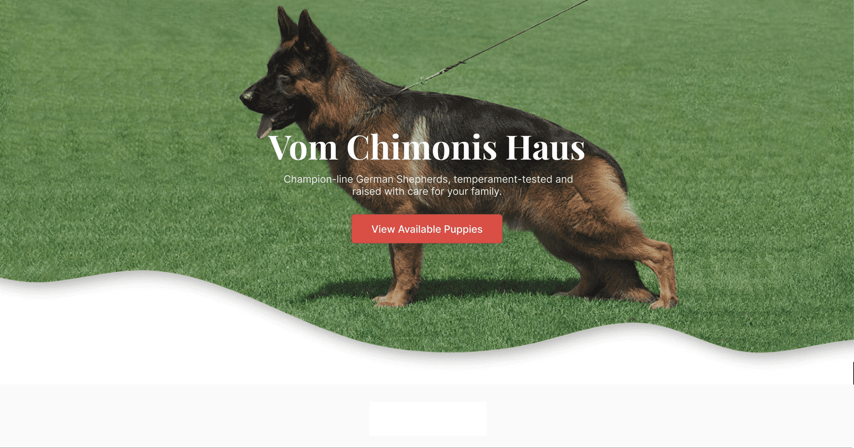 Vom Chimonis Haus | German Shepherd Breeder in Cyprus, New Jersey and ...