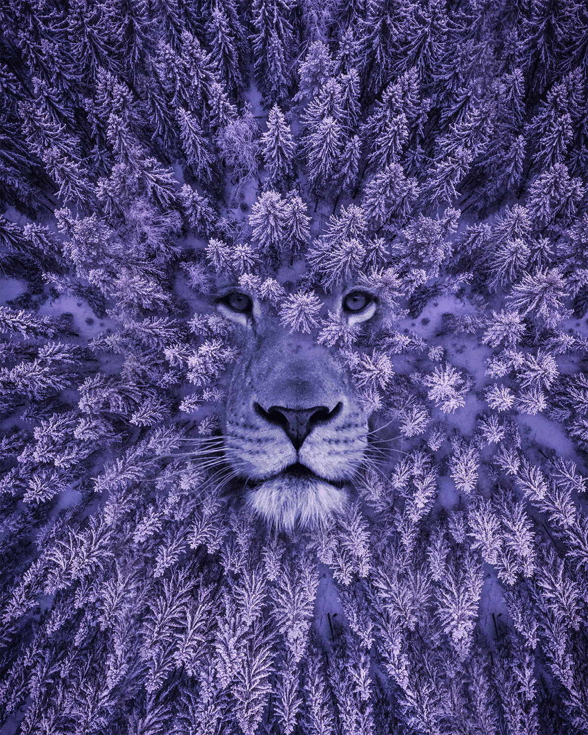 Kevin Adams | 2x Entrepreneur | Digital Artist | Digital Marketer