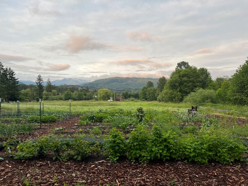 Samara Farm