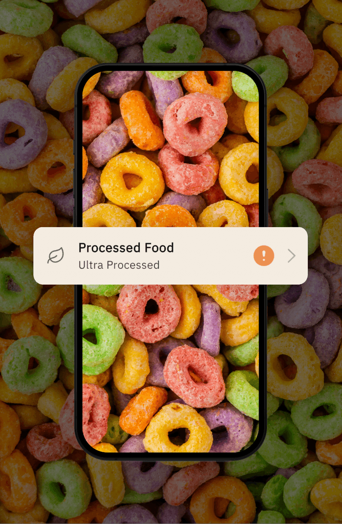 WISEcode: Decode Your Food