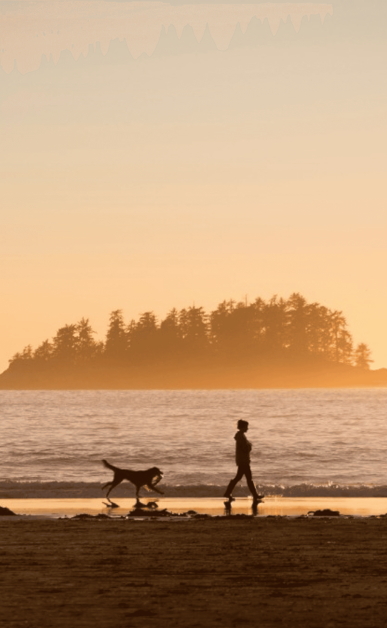 Ensemble Travel | A Travel Consortium Built for Industry Leaders