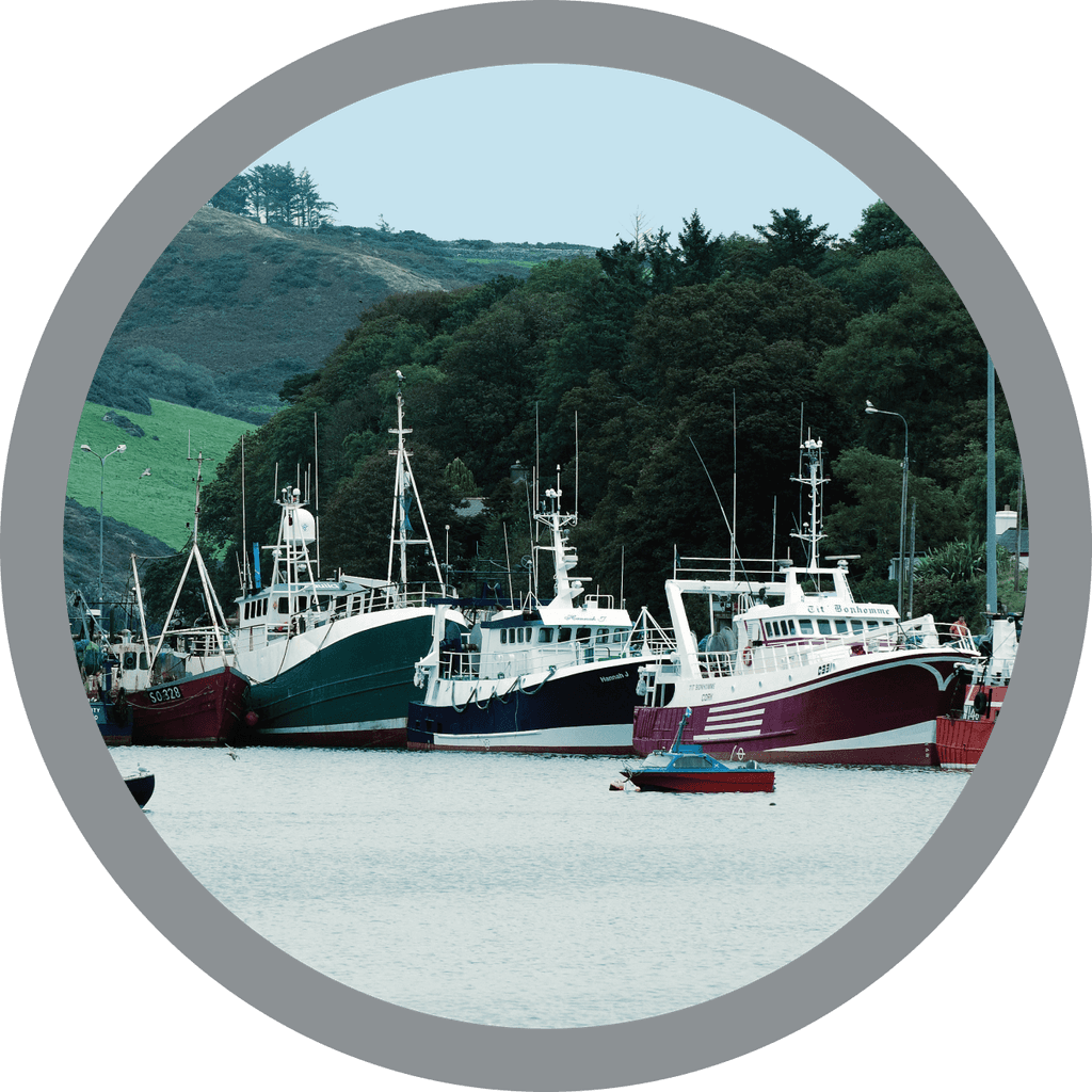 Glenmar Shellfish Ltd.
