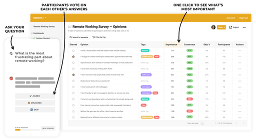 Guide to User Analysis: Types and Methods