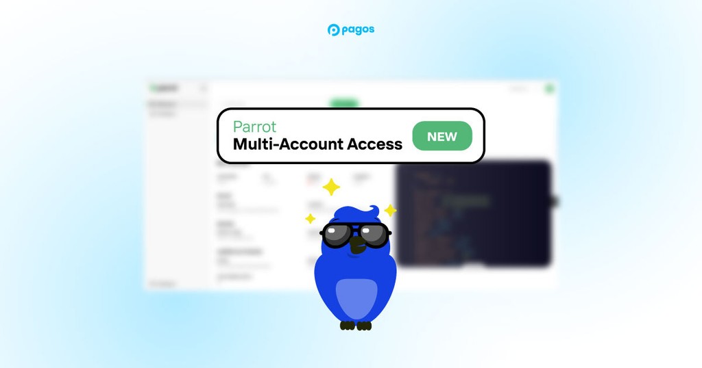 Identifying Visa Flexible Credential Cards Using BIN Data | Pagos Blog