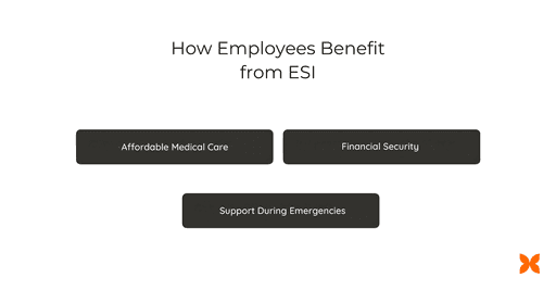ESI Contribution and Calculation in Salary