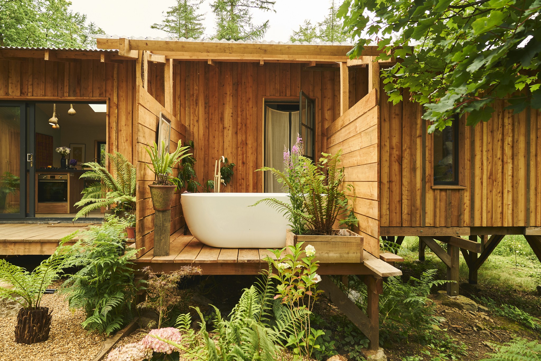 Pembrokeshire Grand Designs Off-Grid Cabin | Marcus & Abi Beck ...