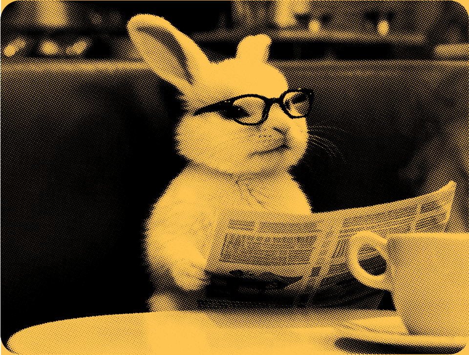 Perplexity 2024 Recap