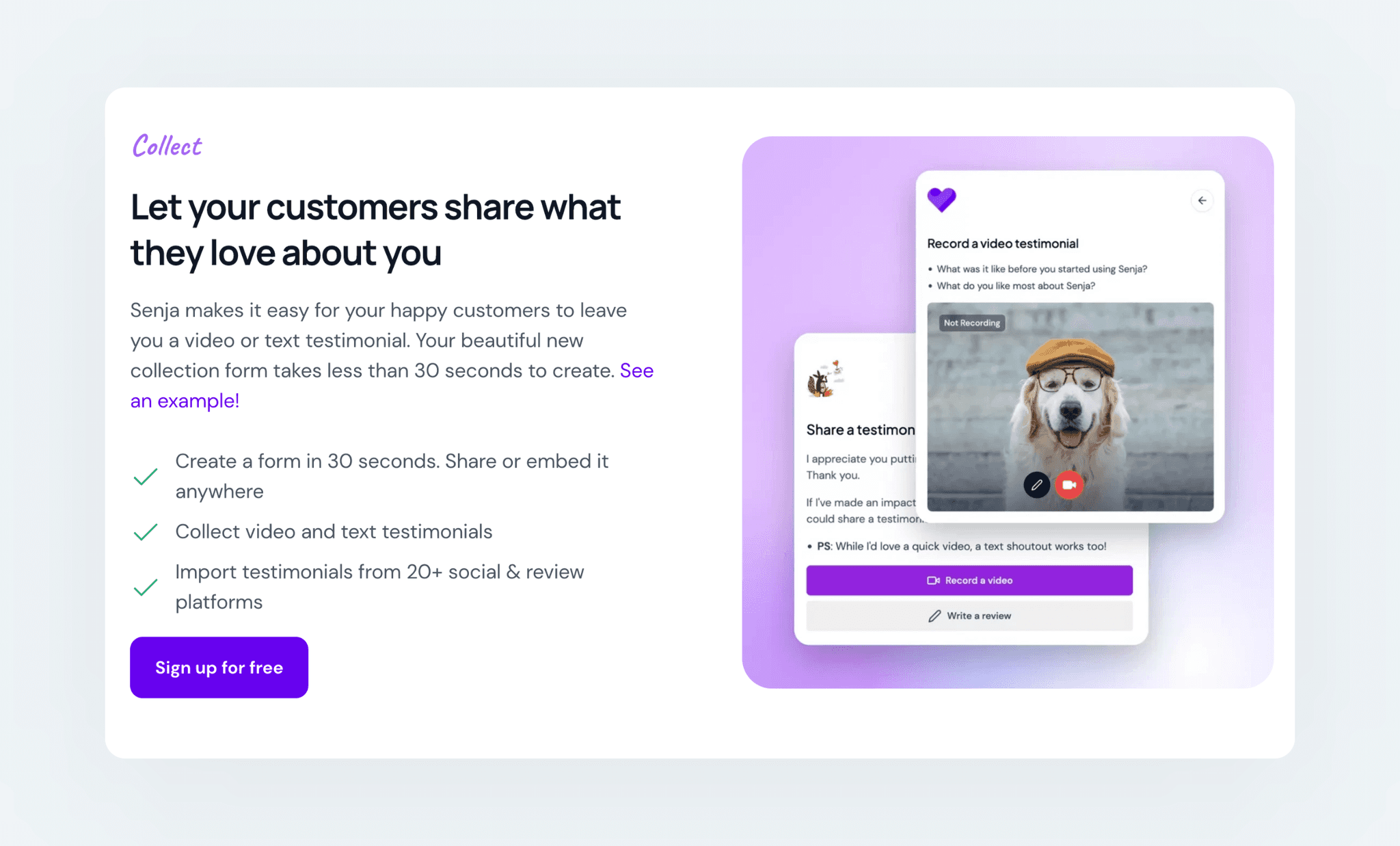 Testimonial collection software - The 5 best [22 analyzed] - Senja