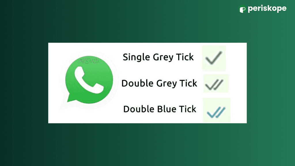 Complete Guide to WhatsApp Read Receipts and Message Tracking