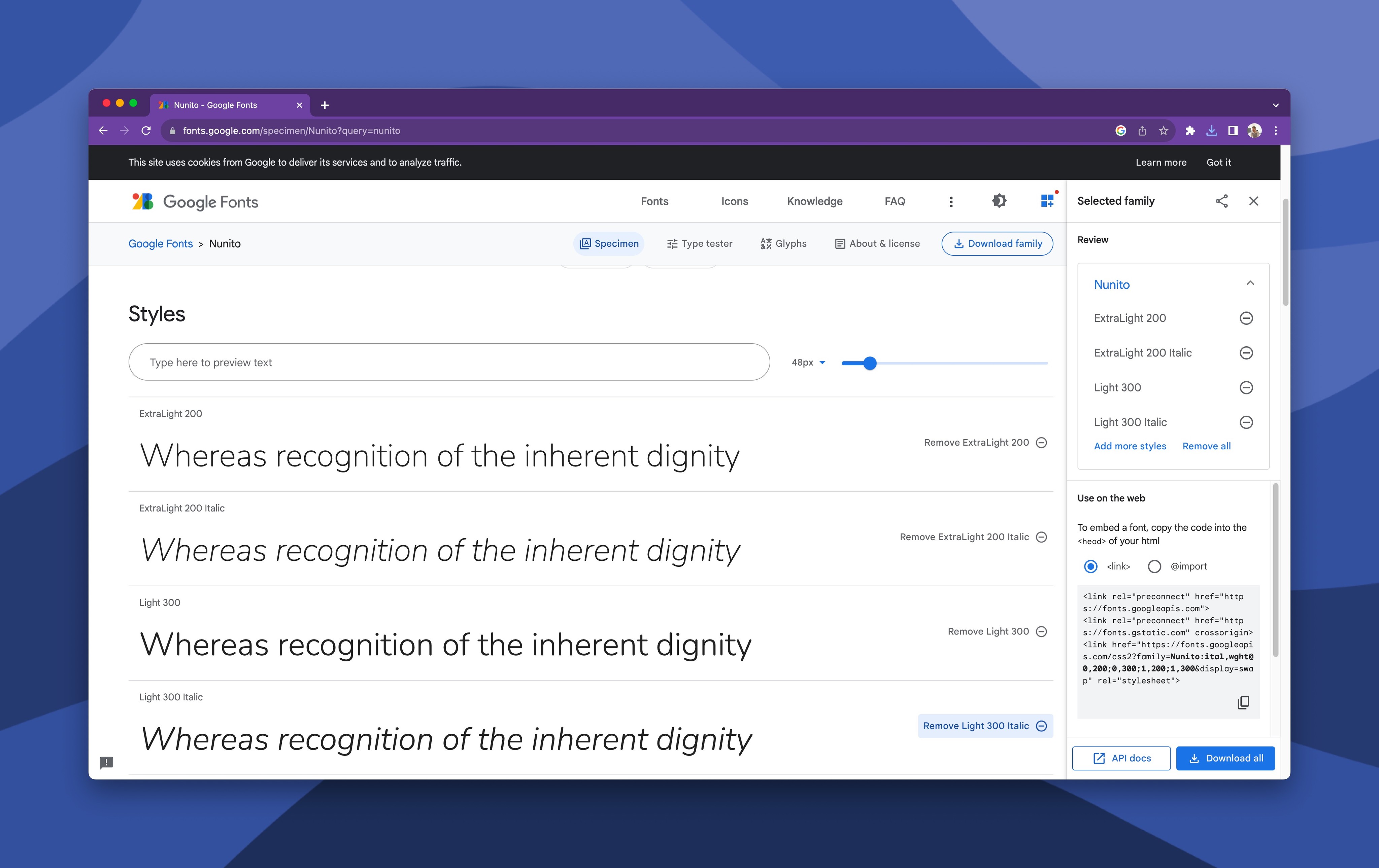 Elevate Your Application's UI with Custom Fonts - Avalonia UI