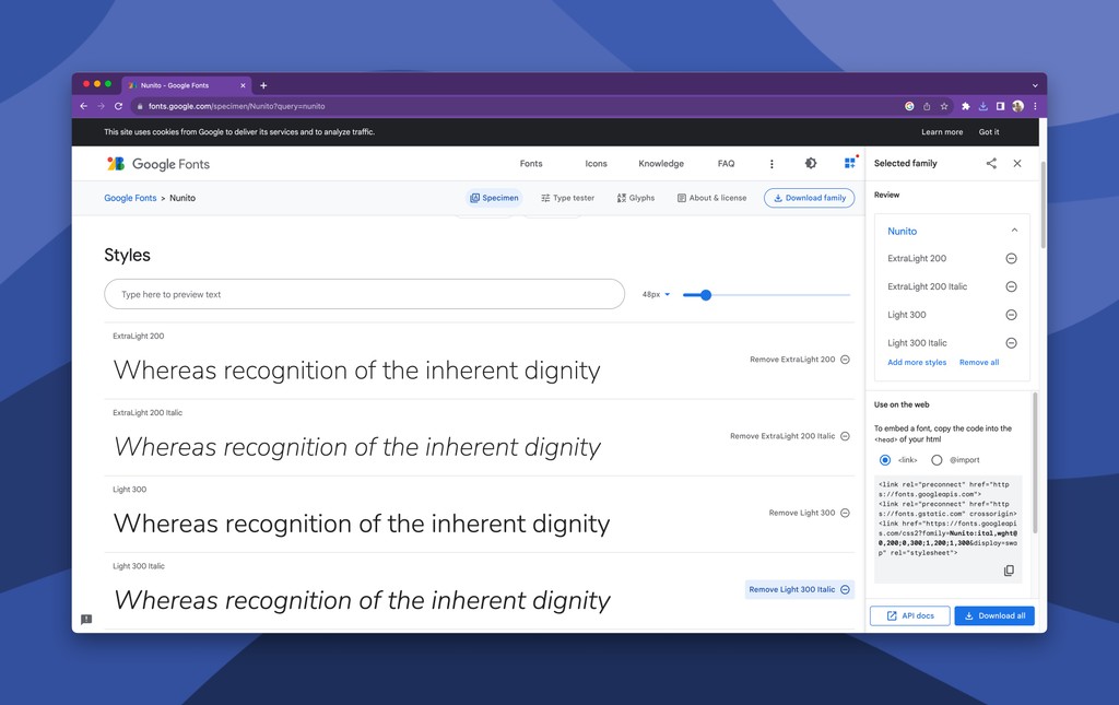 Elevate Your Application's UI with Custom Fonts - Avalonia UI