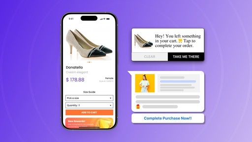 What is PLP Meaning?